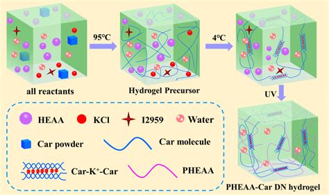 Figure 1 From Fully Physically Crosslinked Conductive Hydrogel With