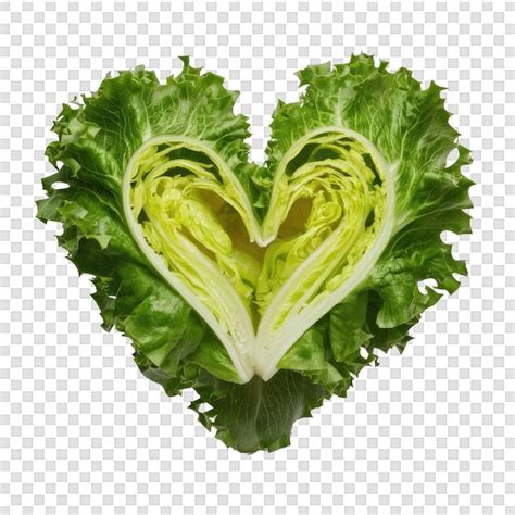 Premium Psd A Heart Shaped Lettuce With A Heart Shape In The Middle