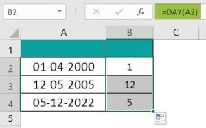 DAY Excel Function Formula Examples How To Use