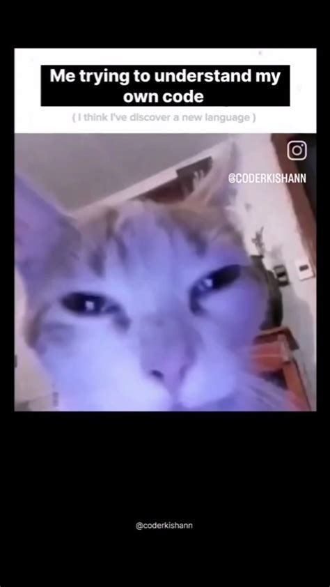 Azdkodcum Hajdskskfksksjfj çok Doğru Video Iamsrgn Etiketler