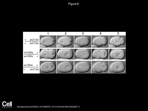 Volume 3 Issue 5 Pages November 2002 Ppt Download