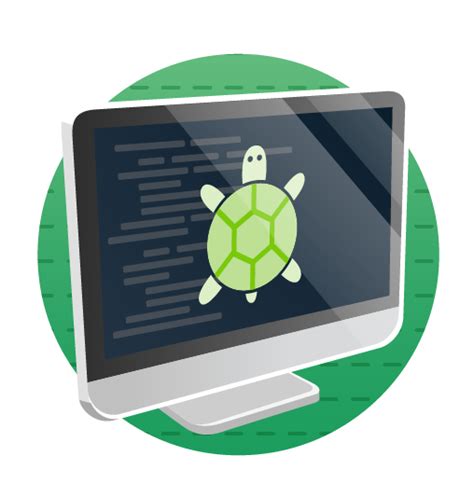 Functions Review Codehs Tracy Python 6th 8th Grade Flashcard Wayground