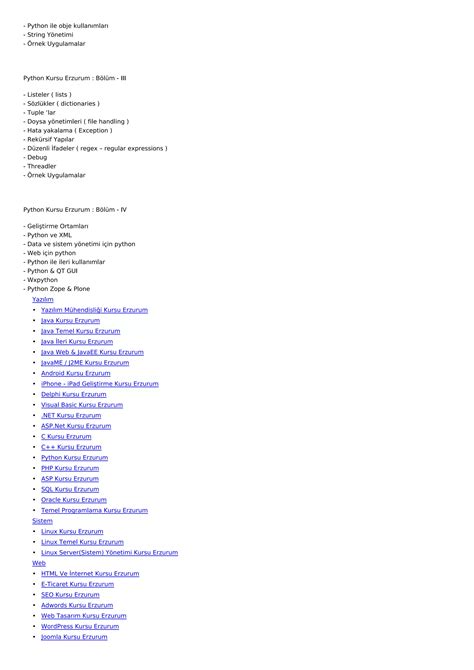 Python Kursu Erzurum PDF
