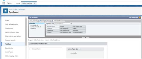What Is Field Sets In Salesforce Forcelearn
