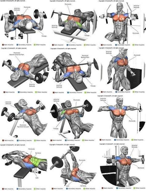 15 Dynamic Chest And Back Workout Exercises
