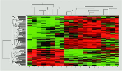 Hierarchical Clustering Of 299 Differentially Expressed Genes In