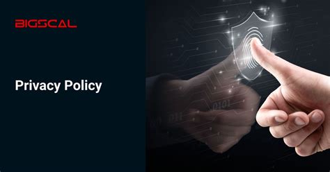your privacy matters exploring our privacy policy bigscal