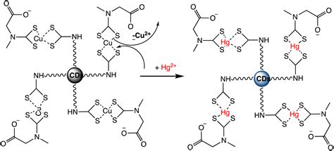 Captivating Nano Sensors For Mercury Detection A Promising Approach For Monitoring Of Toxic