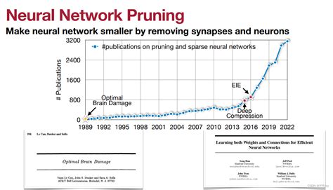 剪枝 Pruning 剪枝系统性的介绍（持续更新）magnitude Based Pruning Csdn博客