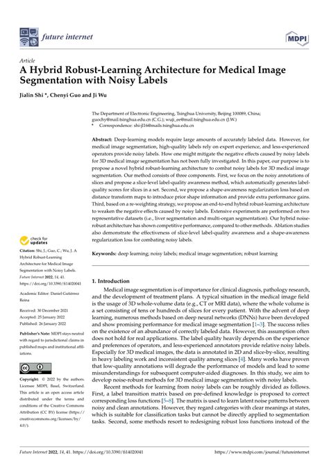 PDF A Hybrid Robust Learning Architecture For Medical Image Segmentation With Noisy Labels
