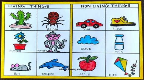 Living And Non Living Things Drawing In Simple And Easy Steps Diy