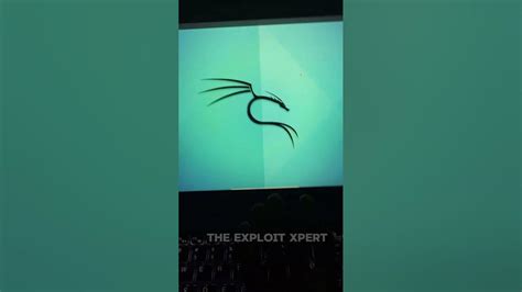 Hackers Motivation Hacker Attitude Status The Exploit Xpert