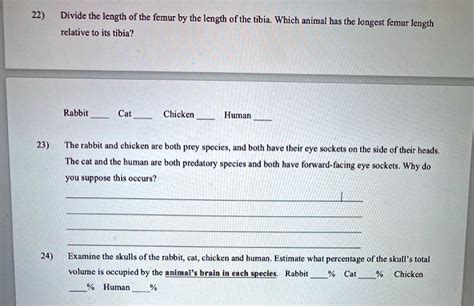Solved Divide The Length Of The Femur By The Length Of The Tibia