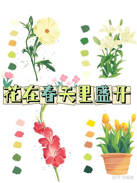 植物插画扁平插画肌理插画插画过程分享工具 Ps手绘板（笔刷附上） 知乎