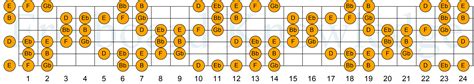 D Eb E F Gb Bb B Fretboard Knowledge
