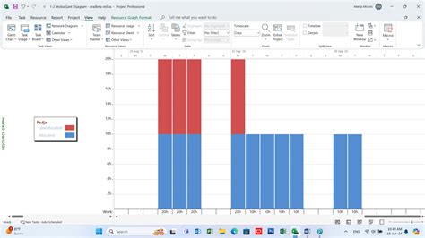 Ms Project Project Management Srbija