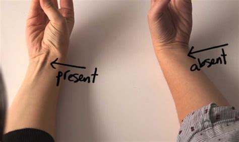 9 Examples Of Evolution In Modern Man Awareness Act