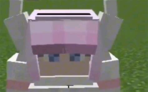 珍妮模组 视频下载 Video Downloader