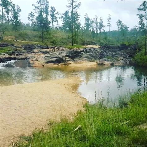 Zoila Palma Gonzalez Home Facebook