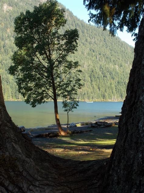 Lake Crescent Lodge Historic Olympic Getaway Milesgeek