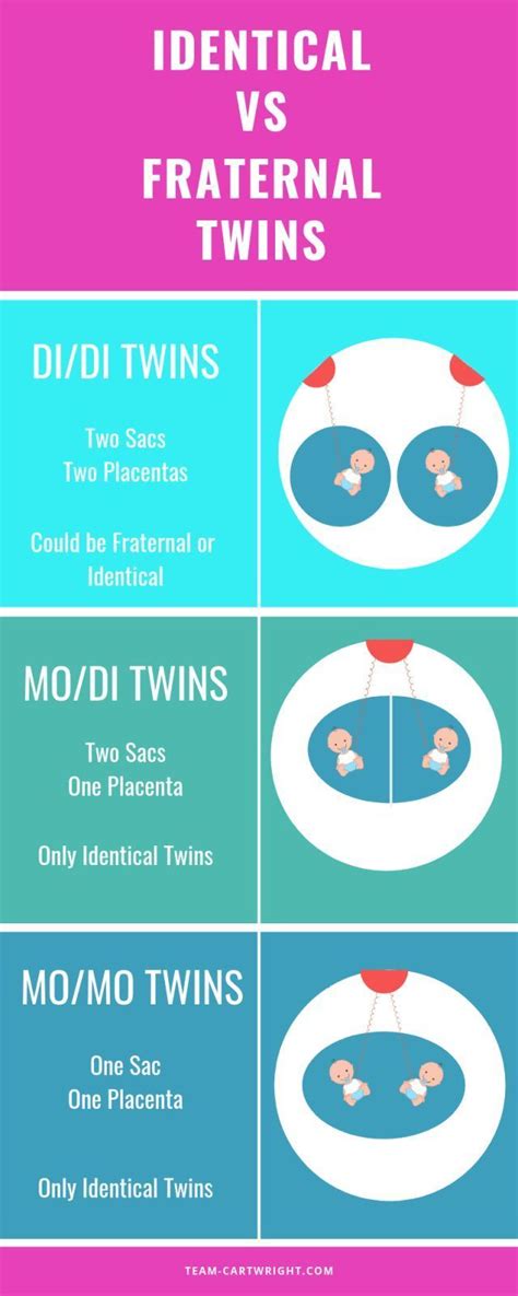 Identical Vs Fraternal Twins What Makes Twin Types Different Artofit