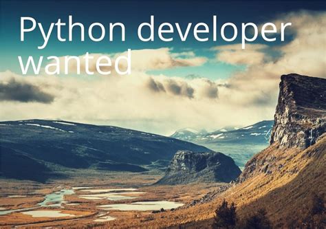 Python Vacancypython Work Developer Alexandra Chuiko
