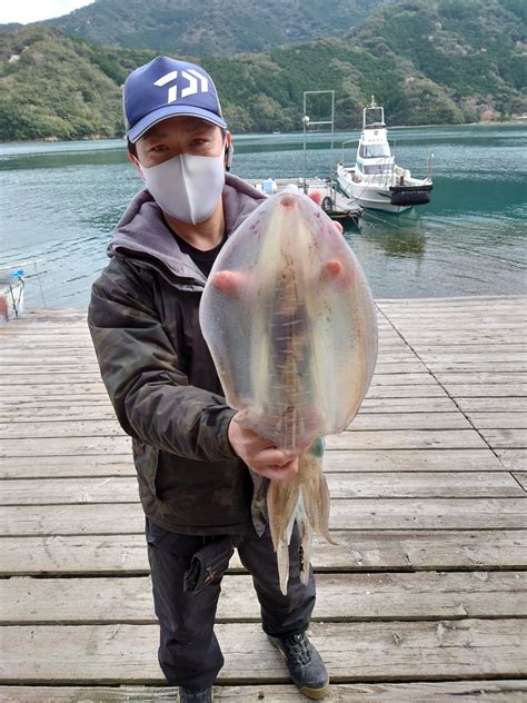 筏磯釣り 国丸渡船 三重県 南伊勢 グレチヌアオリイカ筏アオリイカ