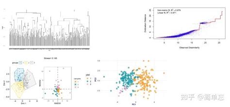 森林生态系统藏着哪些秘密？r 语言带你分析结构、功能与稳定性，还有超炫可视化 知乎