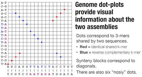 Genome Assembly Bch709 Introduction To Bioinformatics