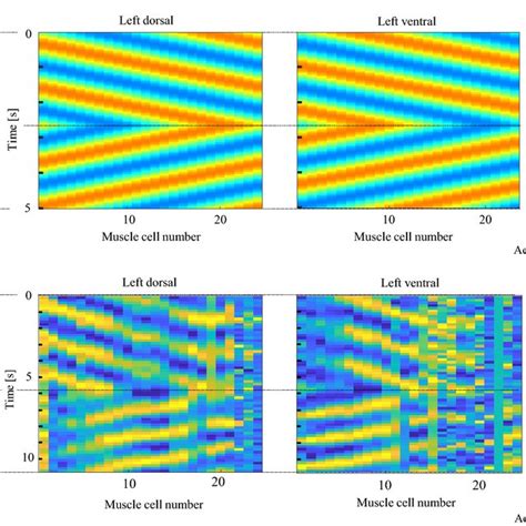 motion analysis of c elegans a motion analysis capture of c download scientific diagram