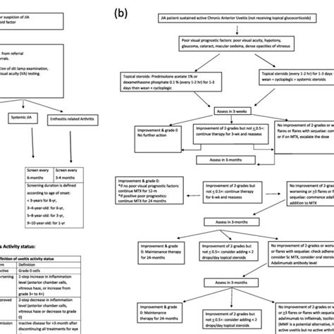 A Algorithm For Screening Referral And Monitoring Of Chronic Anterior Download Scientific