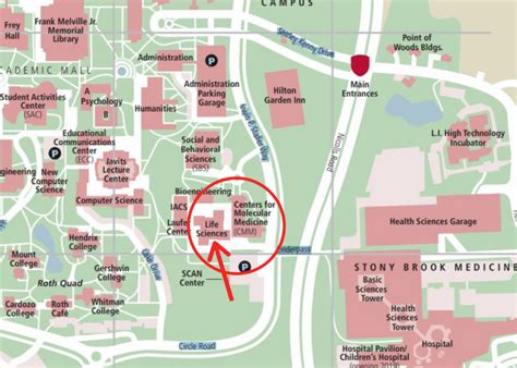 Location Department Of Neurobiology And Behavior