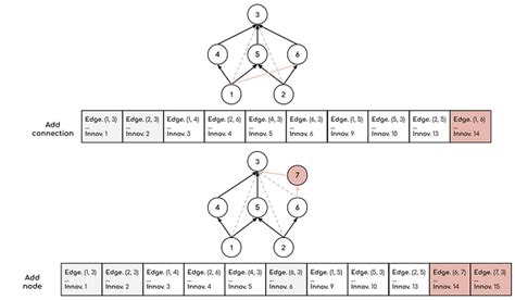 The Effective Encoding Of Neural Networks In The Neat Algorithm By Alessandro Visintin Jul