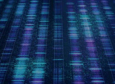 拉索生物固相基因芯片检测流程 高效精准基因检测步骤