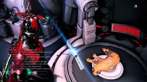 Warframe A Very Rare Lotus Kubrow Youtube