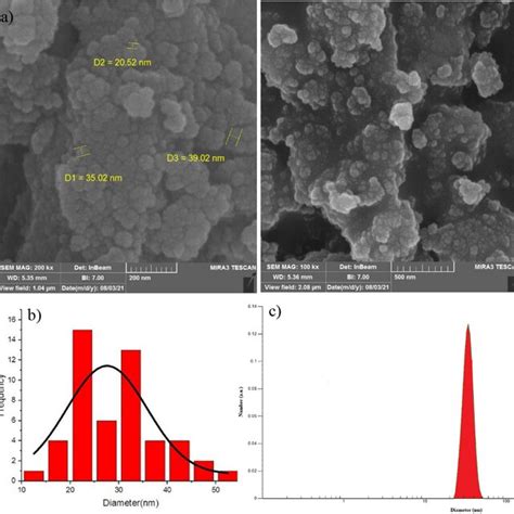 A Fesem Images B Histogram And C Dls Of Fe3o4dpa Csnnn Pd⁰