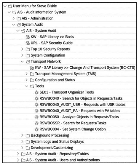 exploring the sap audit information system