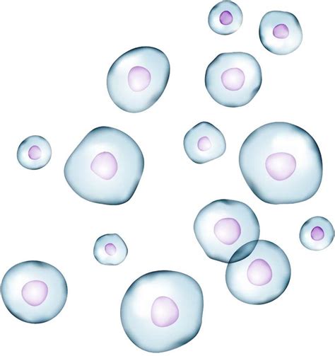 getting started with sample preparation for single cell genomics s2 genomics