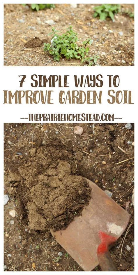 Simple Ways To Improve Garden Soil The Prairie Homestead