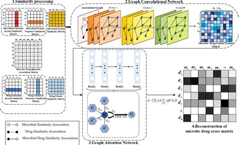 Microbe Drug Association Prediction Model Based On Graph Convolution