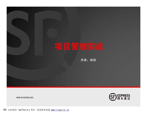 项目管理实战 new ppt word文档在线阅读与下载 无忧文档