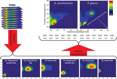 Example Of Parallel Factor Analysis Parafac Decomposition Of Leaf Download Scientific Diagram