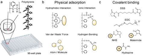 Bsa Blocking Buffer Recipe Elisa