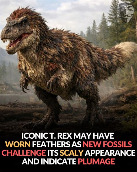 Anonymous New Fossils Suggest Tyrannosaurus Rex Wore Feathers