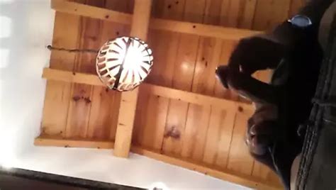 巨大的双射和搏动的决斗高潮（女士们） Xhamster