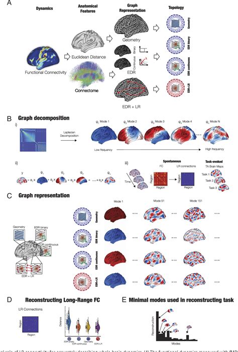 Figure 1 From Human Brain Dynamics Are Shaped By Rare Long Range Connections Over And Above