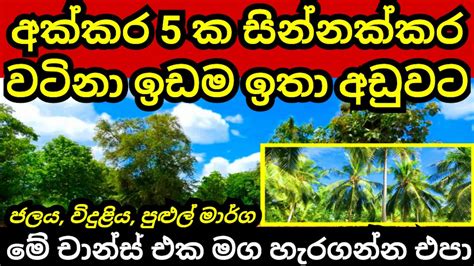 අක්කර 5ක ඉඩම මාරම අඩුවට Land For Sale In Sri Lanka Aduwata Idam Agriculture Land Idam