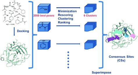 Outline Of Computational Solvent Mapping Algorithm Used By FTMAP