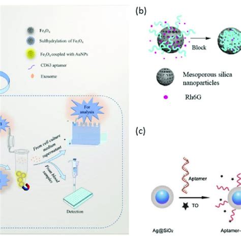 Nanomaterial Based Signal Amplification Strategies A Schematic