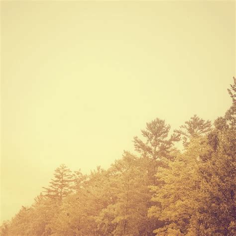 Home Normal X Anthéne Home Normal X Anthéne Home Normal